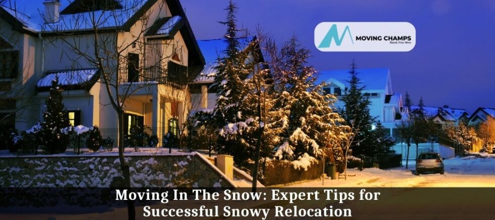 Moving In The Snow: Expert Tips For Successful Snowy Relocation